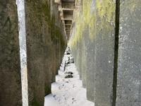 Иконка канала Виталий Грозный