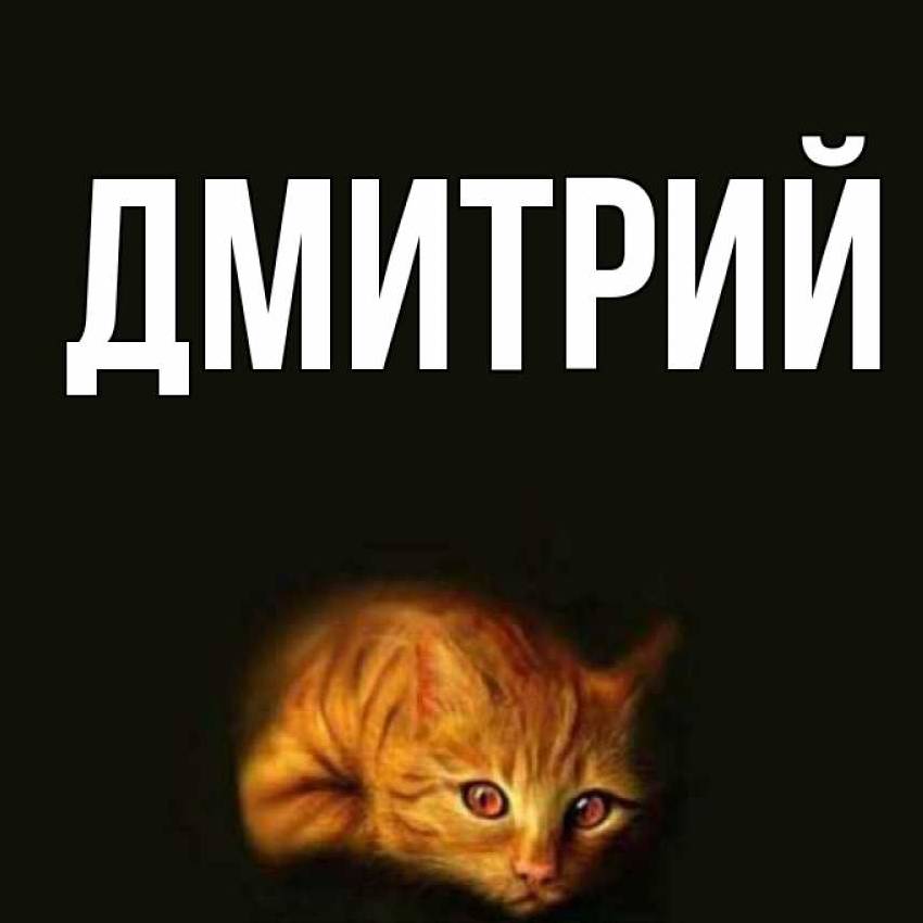 Иконка канала Дмитрий Главатских