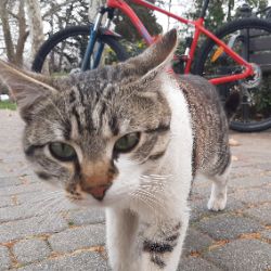 Иконка канала Два Колеса🚲...и не только