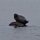 Иконка канала Seal_Parkourist)