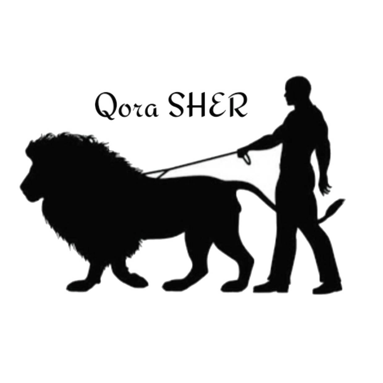 Qora Sher на RUTUBE: 8 видео – смотреть онлайн и бесплатно (26421089)