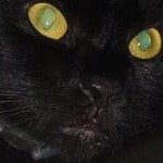 Иконка канала Макс