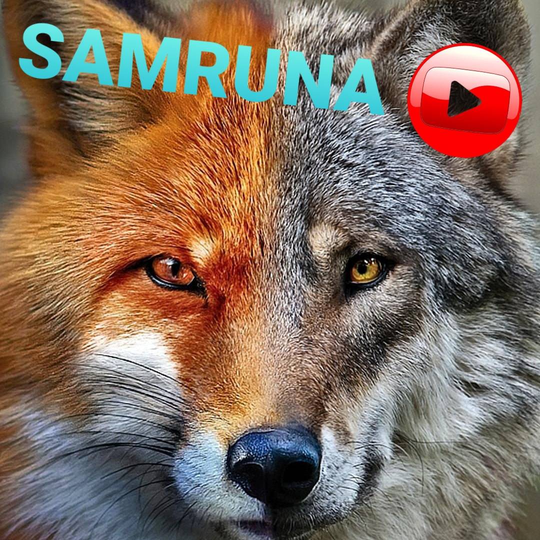 Иконка канала SAMRUNA