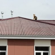 Иконка канала Шифер и шиферная черепицаTeamLit