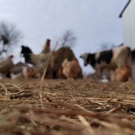 Иконка канала Ильназ Газизов