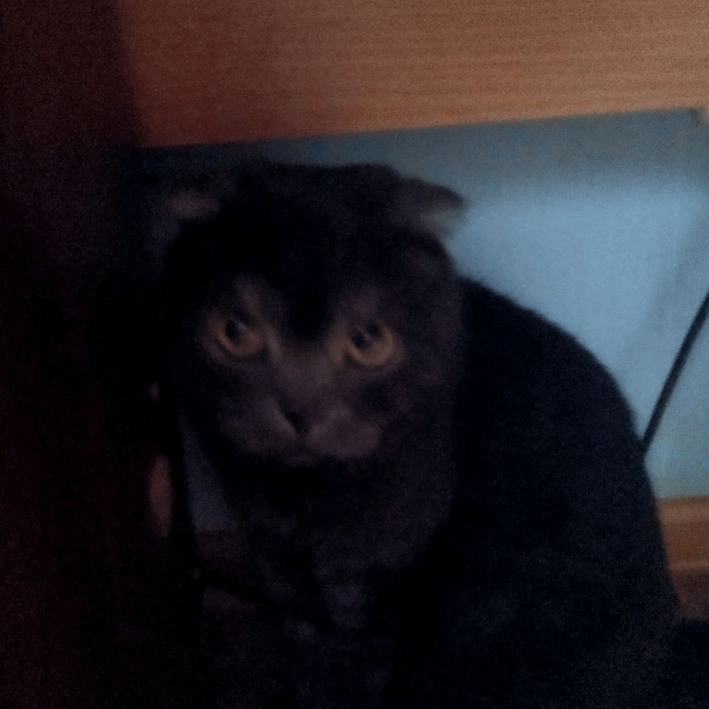 Иконка канала Новый акк с шоном