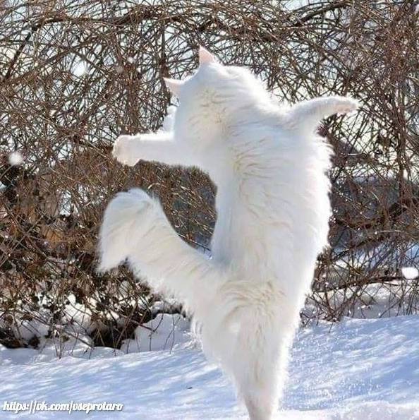 Иконка канала Сергей