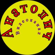 Иконка канала Анатолич - моё пчеловодство и хобби