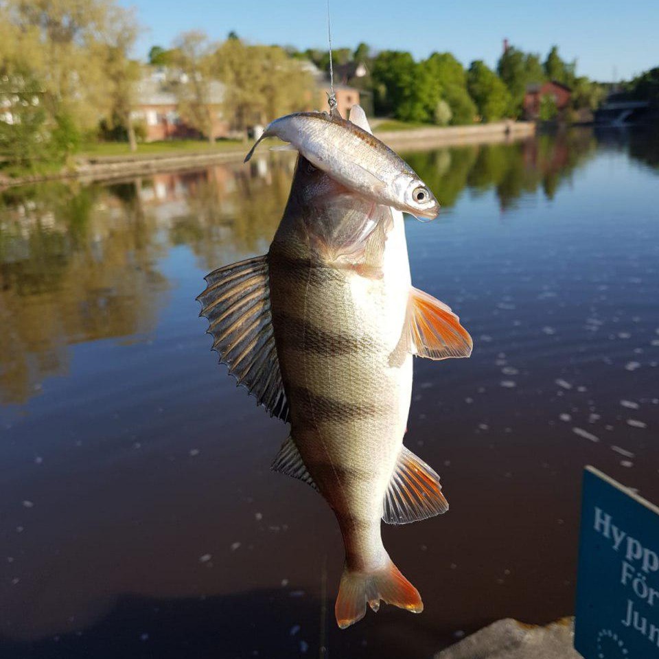 Иконка канала Helsinki Street Fishing