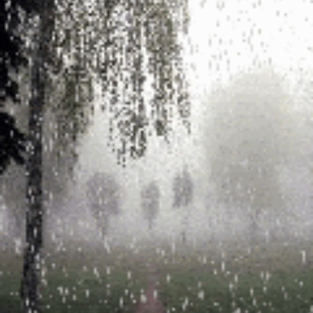 Иконка канала Rain 🌧