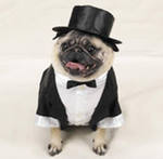 Иконка канала Palkan771