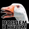 Иконка канала Гусь