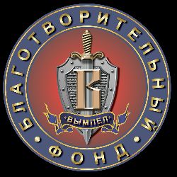 Иконка канала БЛАГОТВОРИТЕЛЬНЫЙ ФОНД  "ВЫМПЕЛ"