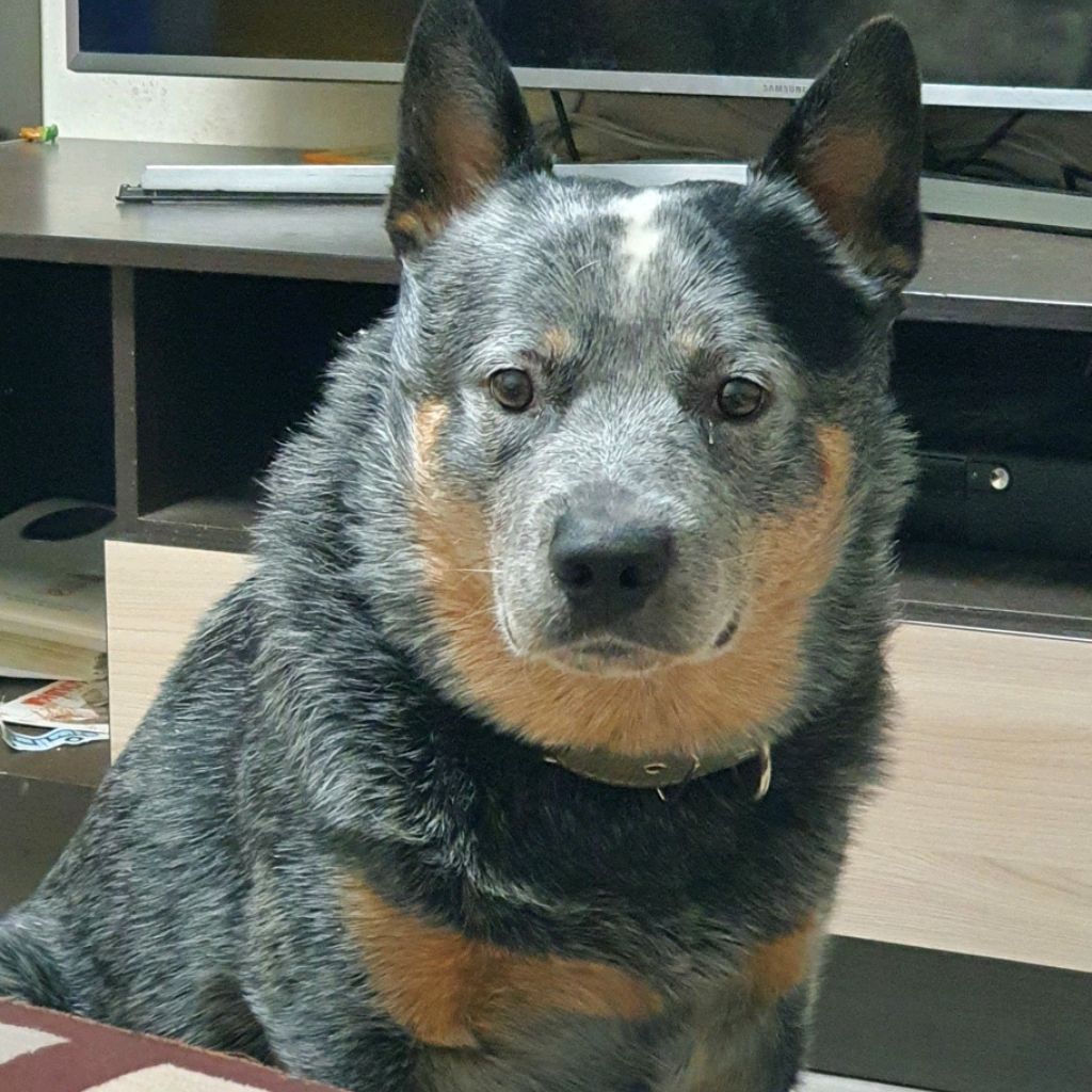 Иконка канала nr_aleks