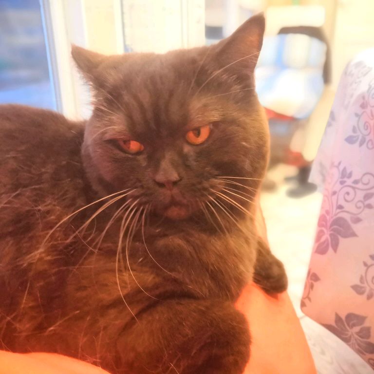 Иконка канала sadmen