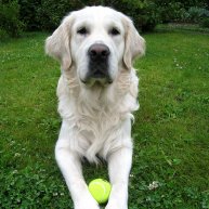 Иконка канала Сергей Силантьев