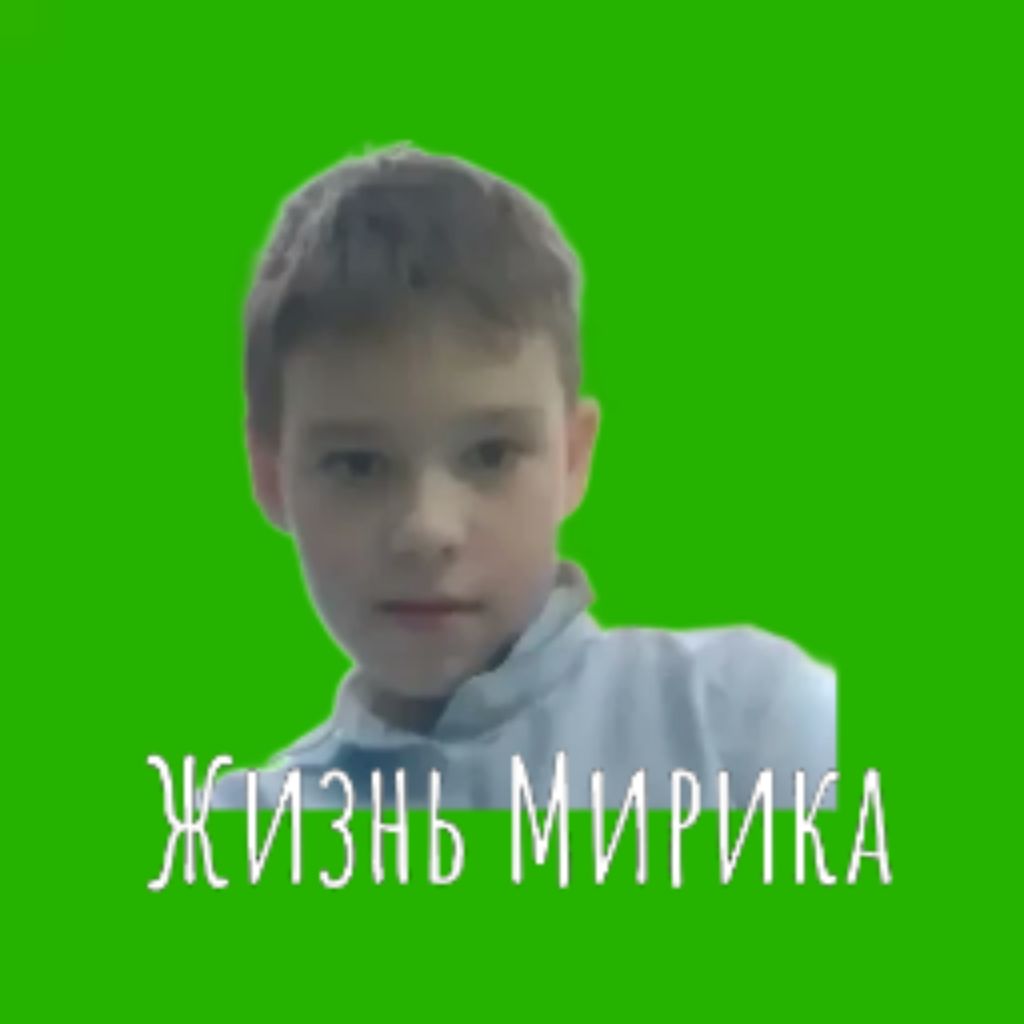 Иконка канала Жизнь Мирика