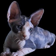 Иконка канала Jimmy Collantes