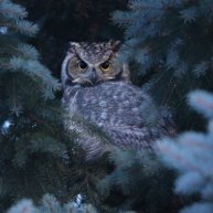 Иконка канала ВасильеваСВ