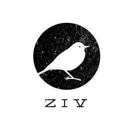 Иконка канала ziv