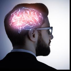 Иконка канала Fresh_Brains