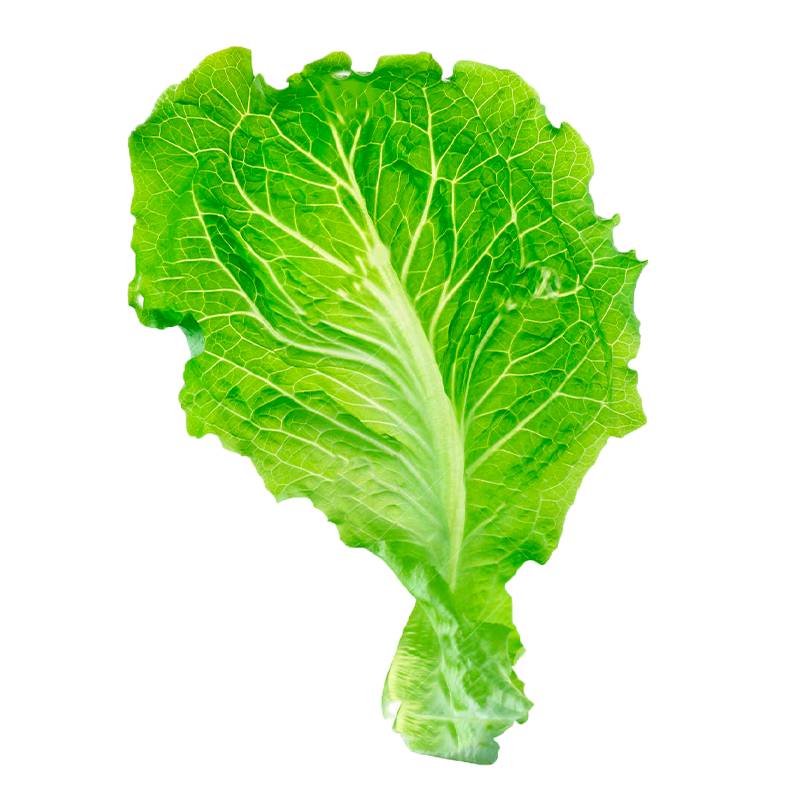 Иконка канала SALAT