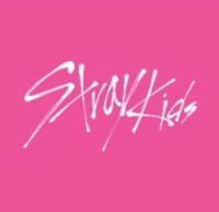 Иконка канала ✨I love stray kids ✨❤️
