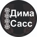 Иконка канала Дима Сасс