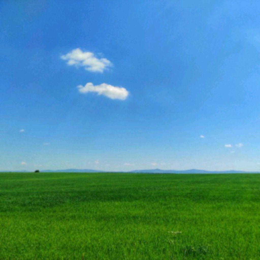 Иконка канала armitage