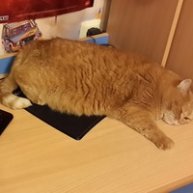 Иконка канала Borets