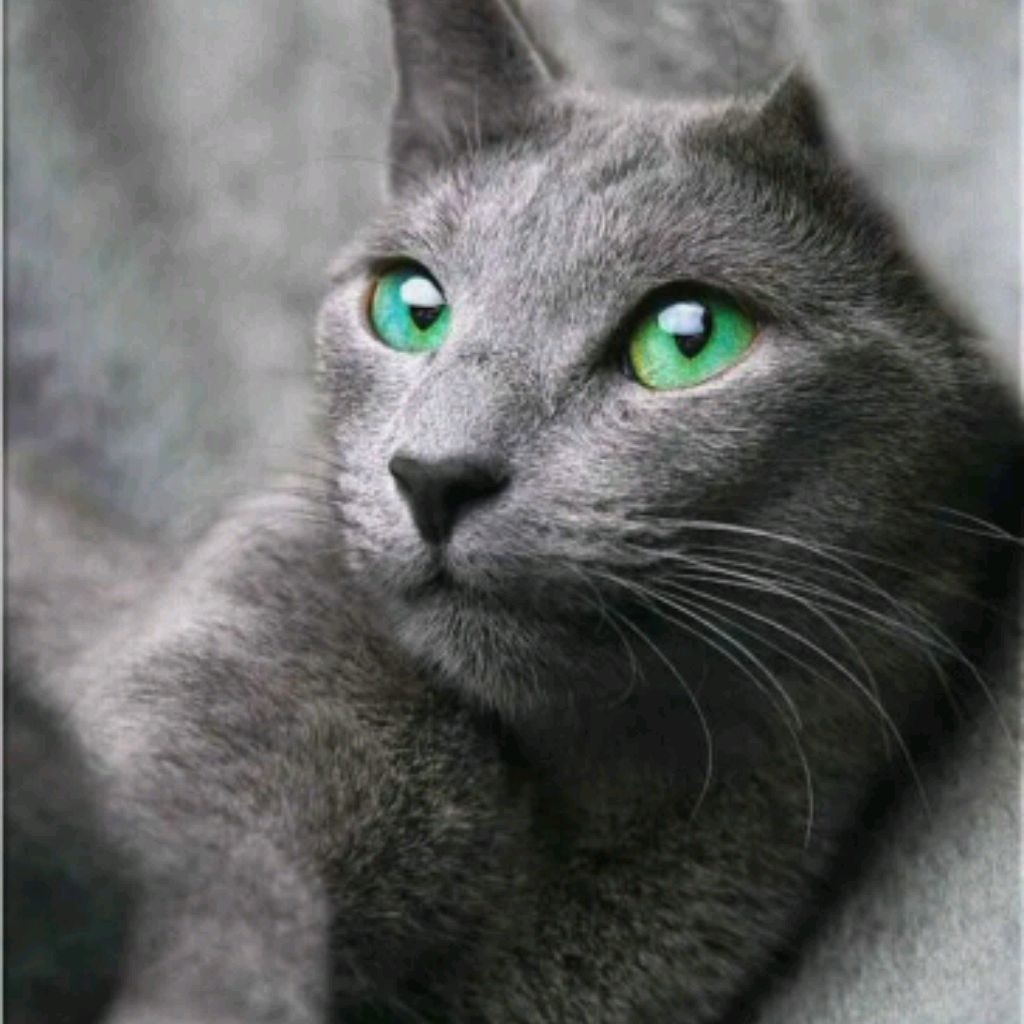 Иконка канала Magic play