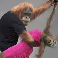 Иконка канала Номер Первый