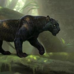 Иконка канала Антон Новиков