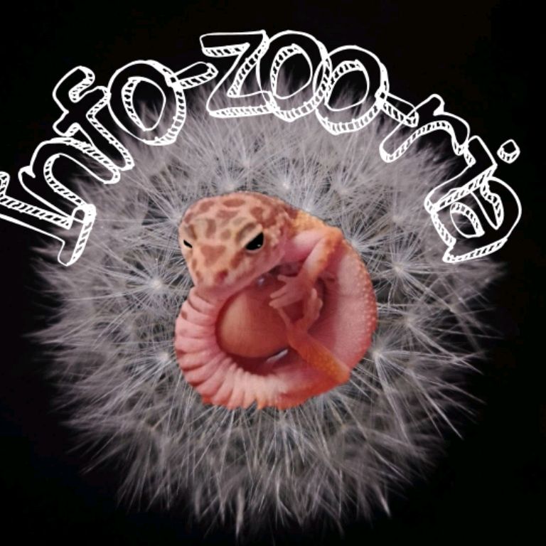 Иконка канала info-zoo-ria