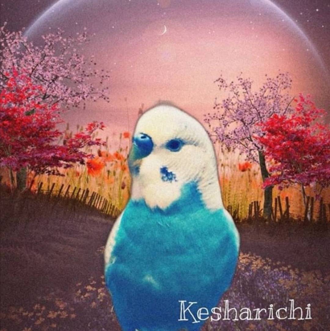 Иконка канала Kesharichi