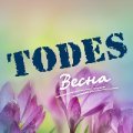 Иконка канала TODES