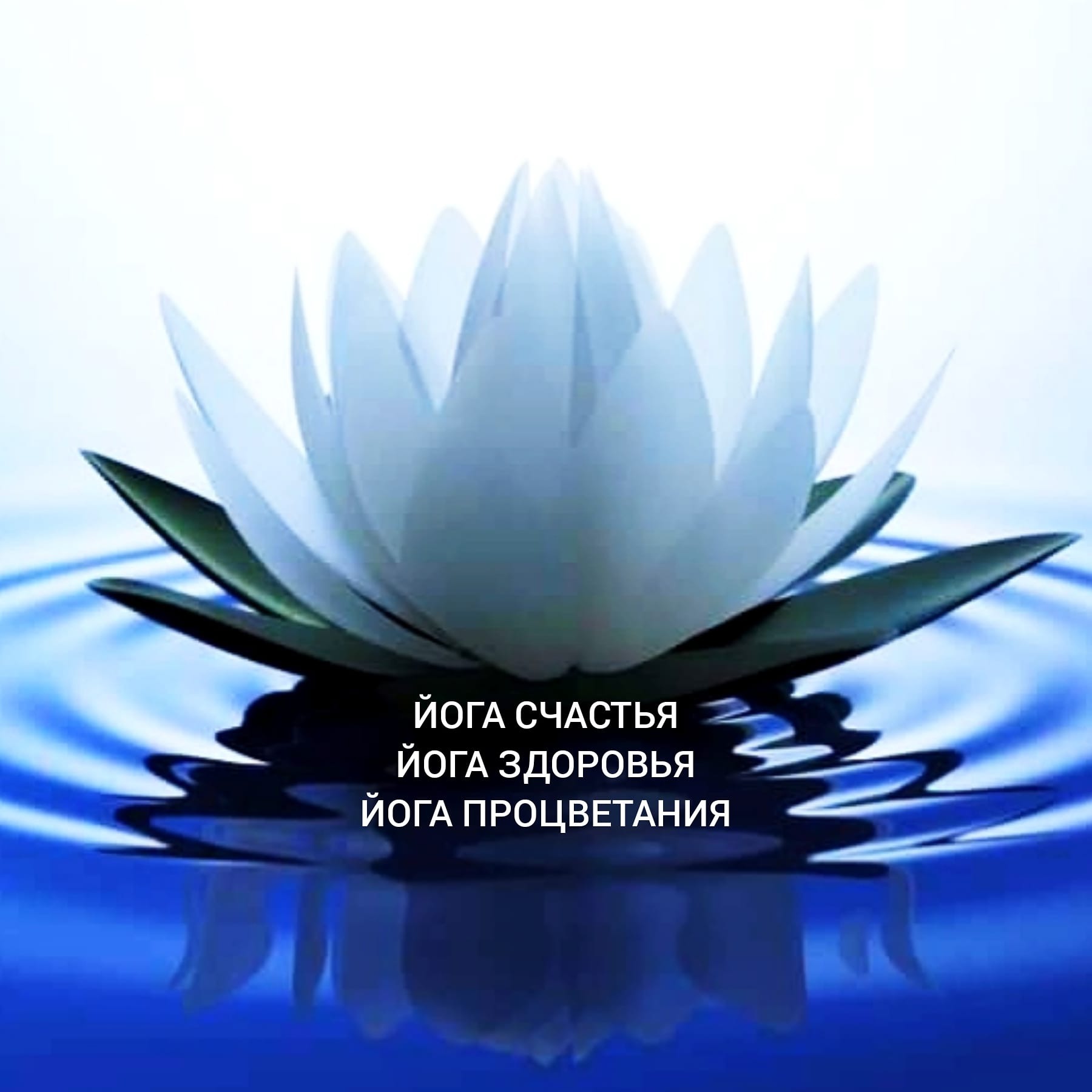 Иконка канала ЙОГА СЧАСТЬЯ ЙОГА ЗДОРОВЬЯ ЙОГА ПРОЦВЕТАНИЯ