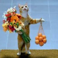 Иконка канала АудиоМодуль