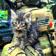 Иконка канала Gerty37