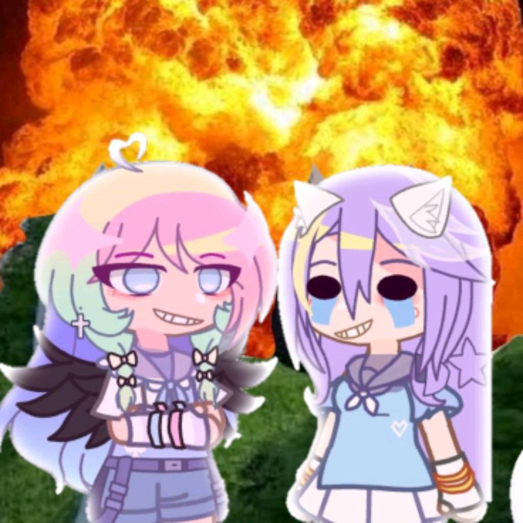 Кошка лана🩷 на RUTUBE: 2 видео – смотреть онлайн и бесплатно (39652493)