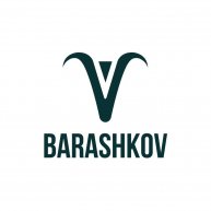 Иконка канала BARASHKOV