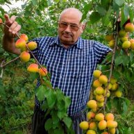 Иконка канала Садоводство по Железову