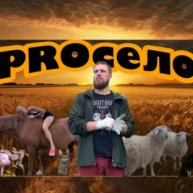 Иконка канала PROсело34