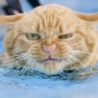 Иконка канала Dr_CrAzY1973