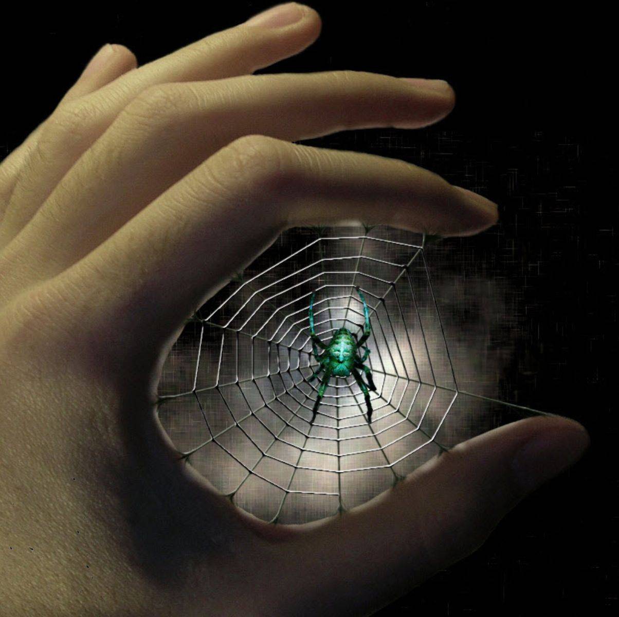 Канал maxzim72 смотри онлайн на RUTUBE!