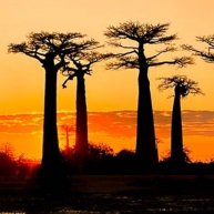 Иконка канала Expeditions Geo