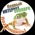 Иконка канала Zoocom Club