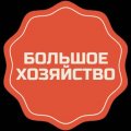 Иконка канала Большое Хозяйство