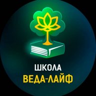 Иконка канала Школа Веда-Лайф