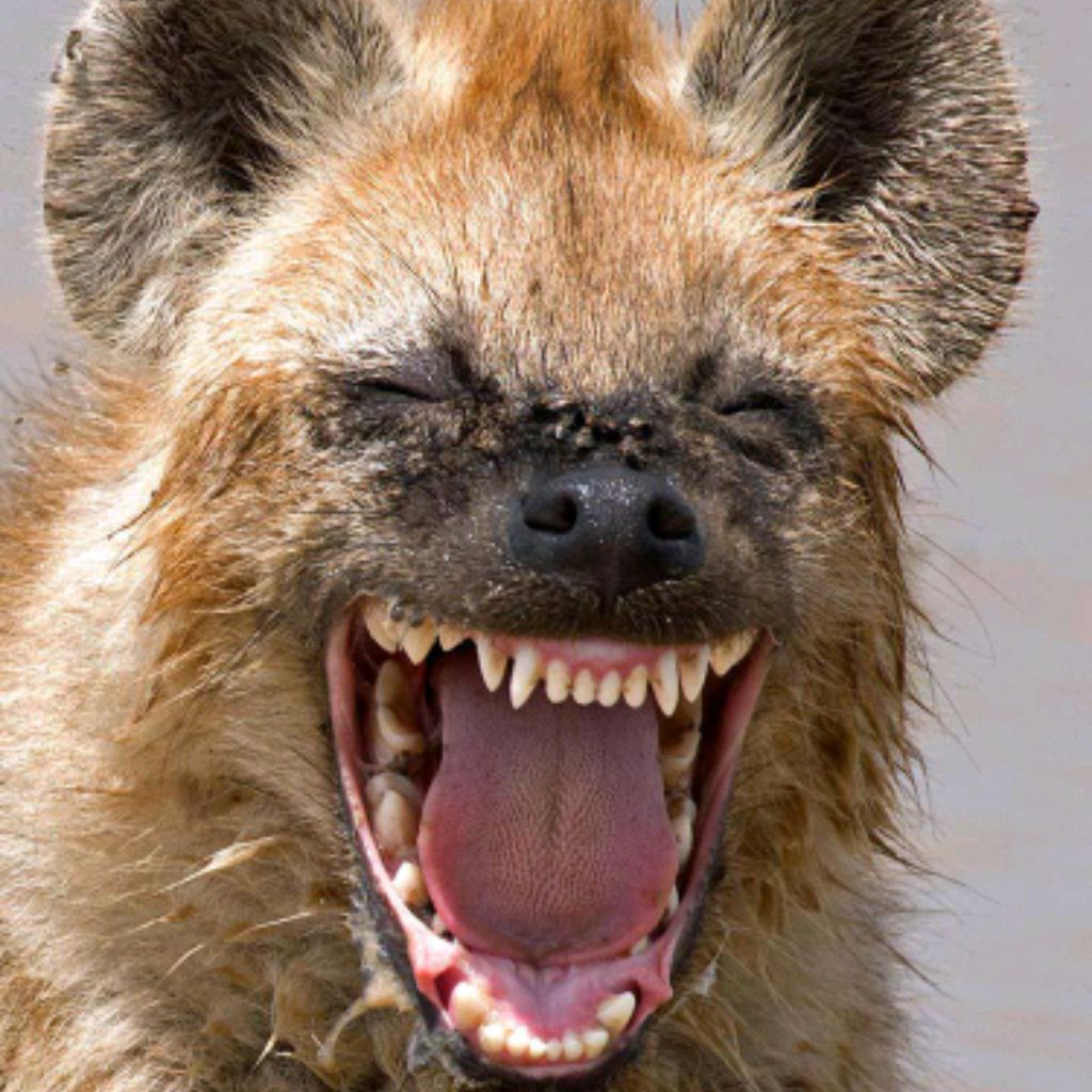 Иконка канала фильмы - Кино которые обязательно нужно посмотреть